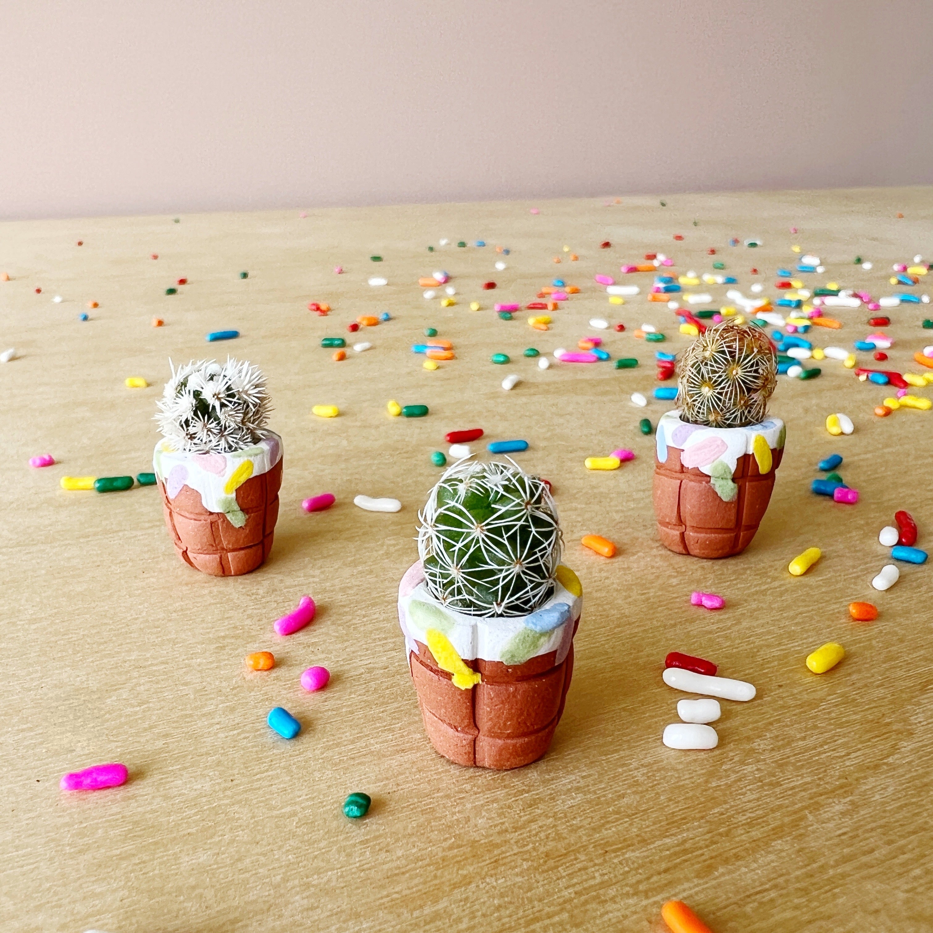 SURPRISE Ice Cream Micro Mini Cactus Kit