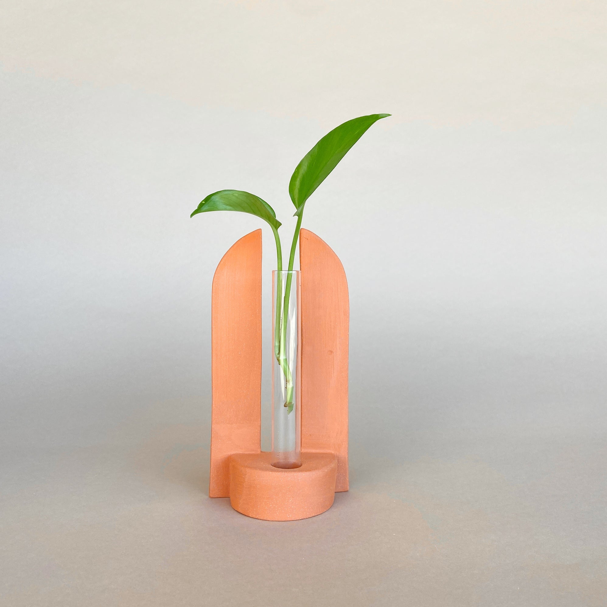 Copa Plant Propagation Vessel